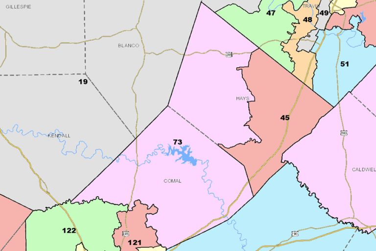 Texas State Representative, HD 73 Voter Guide (2022 General Election)